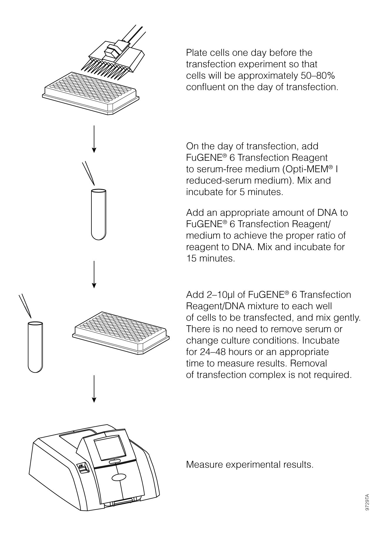 FuGENE 6 Transfection Reagent